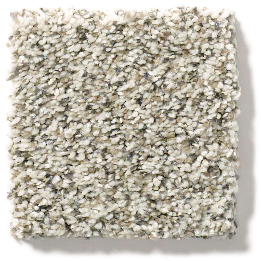 Shaw Simply The Best All Set II 00102 Atlantic Sand Polyester Carpet ...