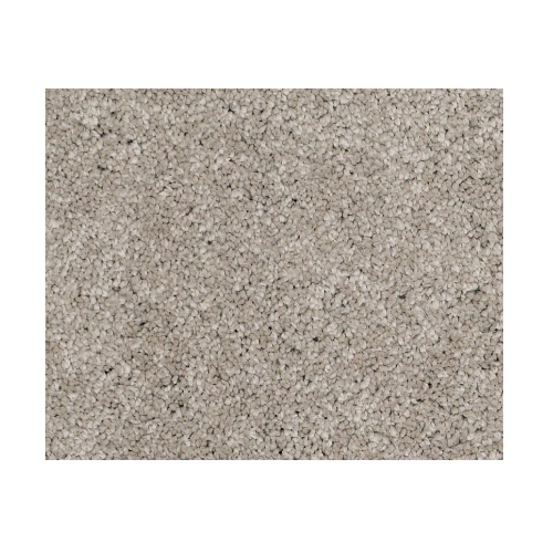 Shaw Castle PV II 00523 Atlantic Textured Nylon Carpet | Lowest Price ...