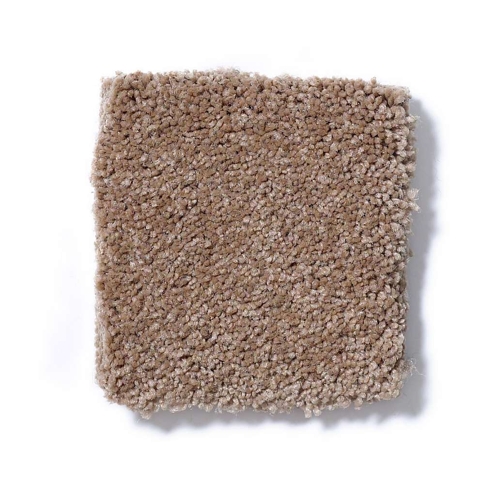 Shaw Everyday Comfort (S) 00710 Autumn Shade Textured Nylon Carpet ...
