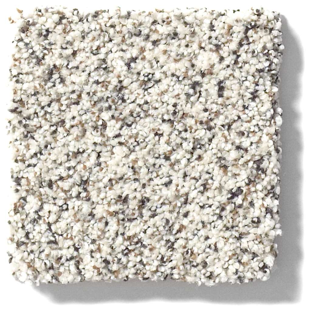 Shaw Foundations Take The Floor Accent II 00173 Avalanche Nylon Carpet ...