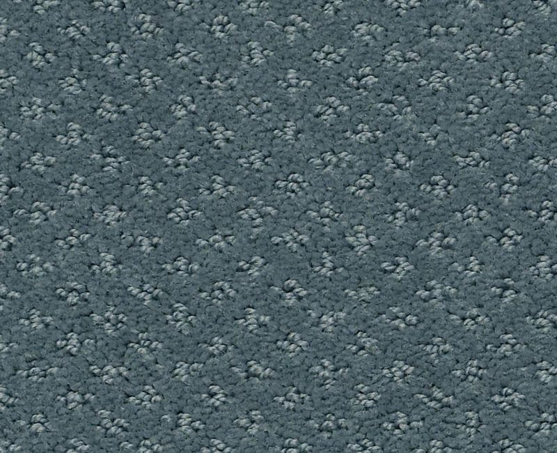 Shaw First Beginning 00410 Azure Pattern Nylon Carpet | Lowest Price ...