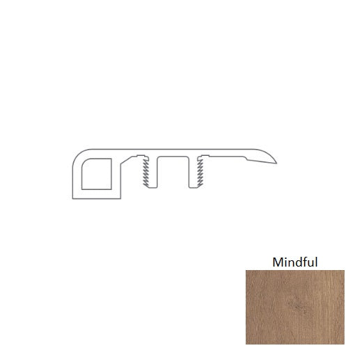 Shaw Prodigy Hdr Plus 06007 Mindful Baby Threshold With Molding Track ...