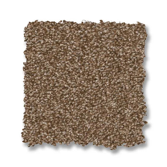 Anderson Tuftex Cypress Falls 00767 Baked Clay Nylon Carpet — Stone ...