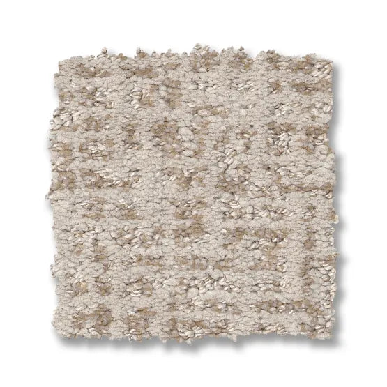 Anderson Tuftex Reawaken Caboodle 00121 Balanced Polyester Carpet ...