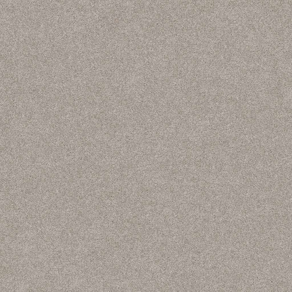 Shaw Foundations Harmonious II 00128 Baltic Stone Nylon Carpet — Stone ...