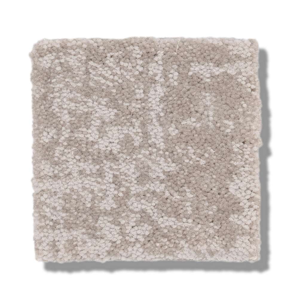 Shaw Caress By Shaw Fine Structure 00128 Baltic Stone Nylon Carpet ...