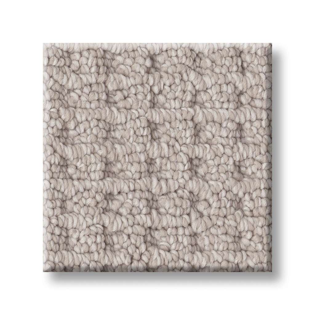 Shaw Foundations Faint Intent 00128 Baltic Stone Loop Nylon Carpet ...