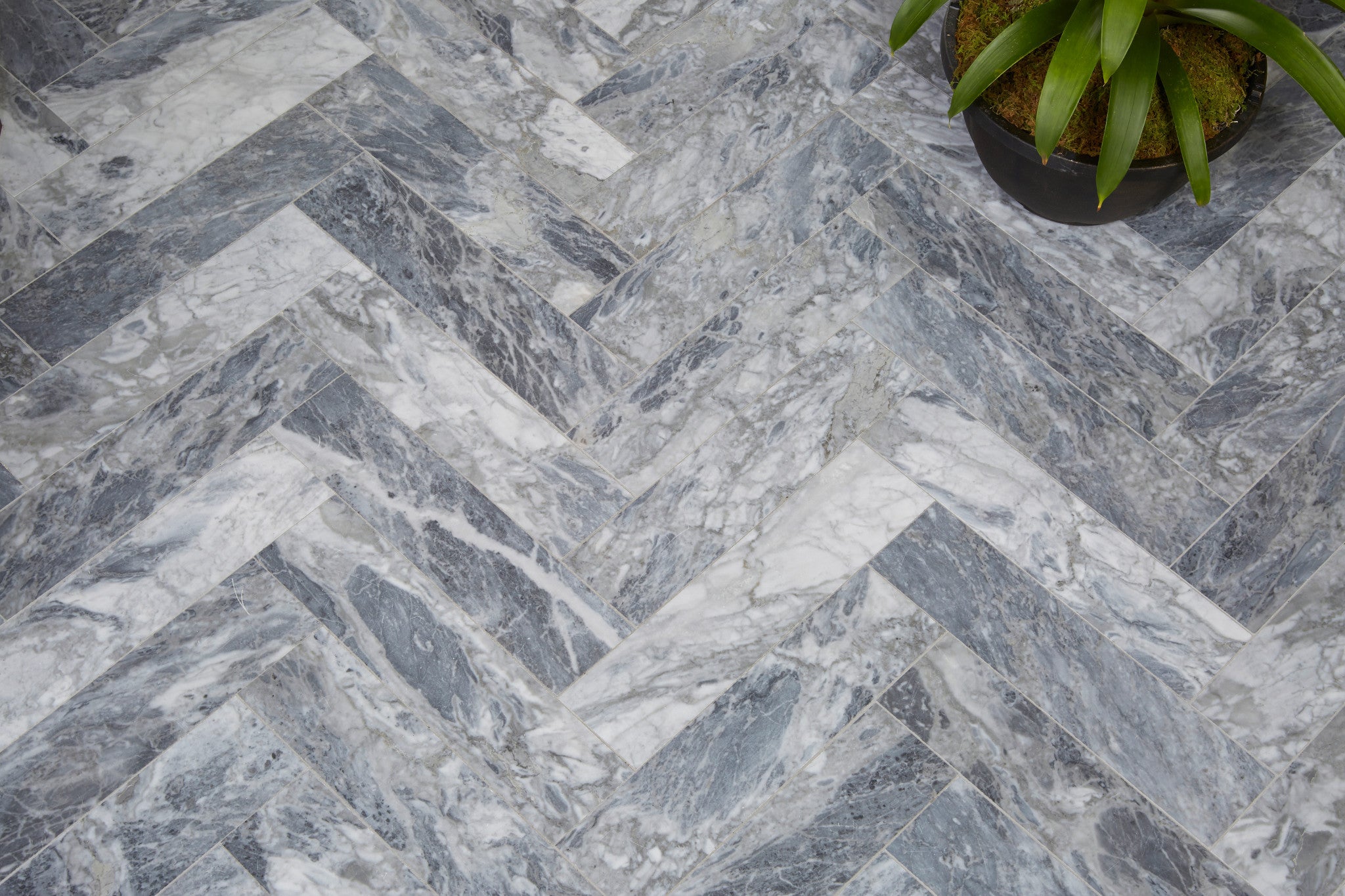 Arizona Tile Bardiglio Polished Marble Tile | Lowest Price — Stone ...