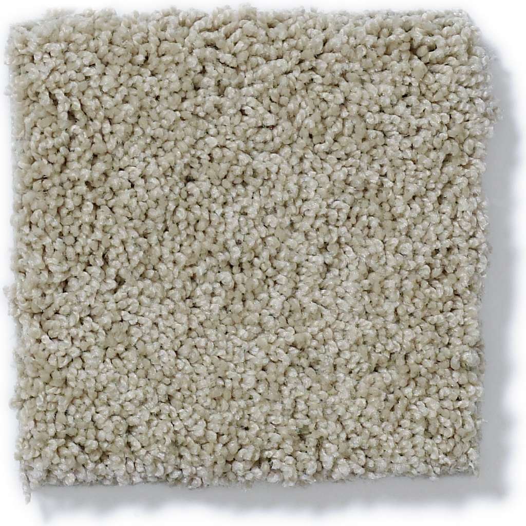Shaw Soft Shades My Choice II 00151 Bare Essence Textured Nylon Carpet ...