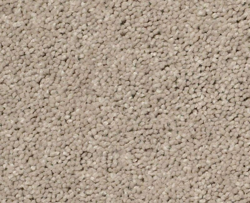 Shaw XV865 00105 Bare Mineral Textured Polyester Carpet | Lowest Price ...