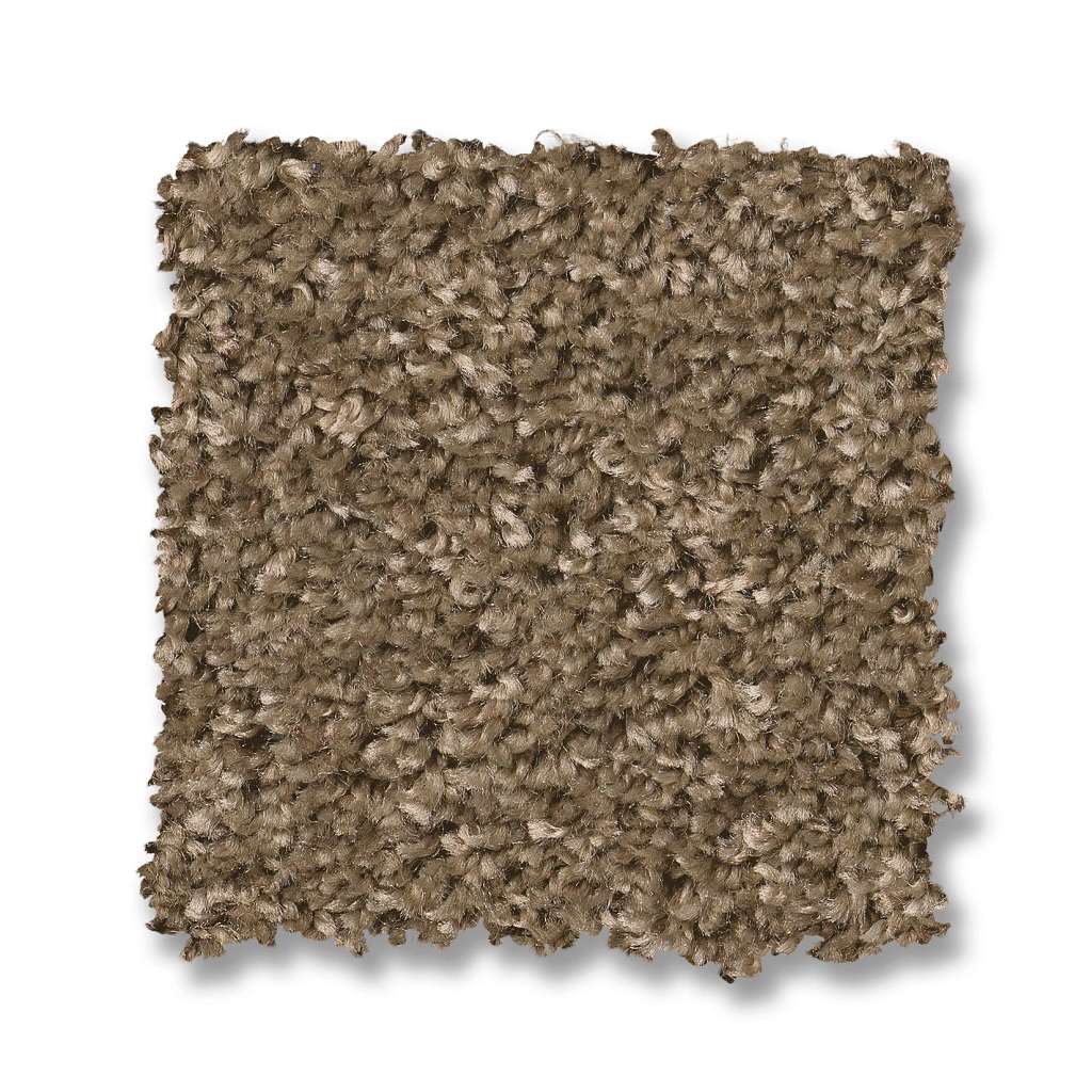 Shaw Shake It Up (S) 00711 Beaver Creek Textured Polyester Carpet ...