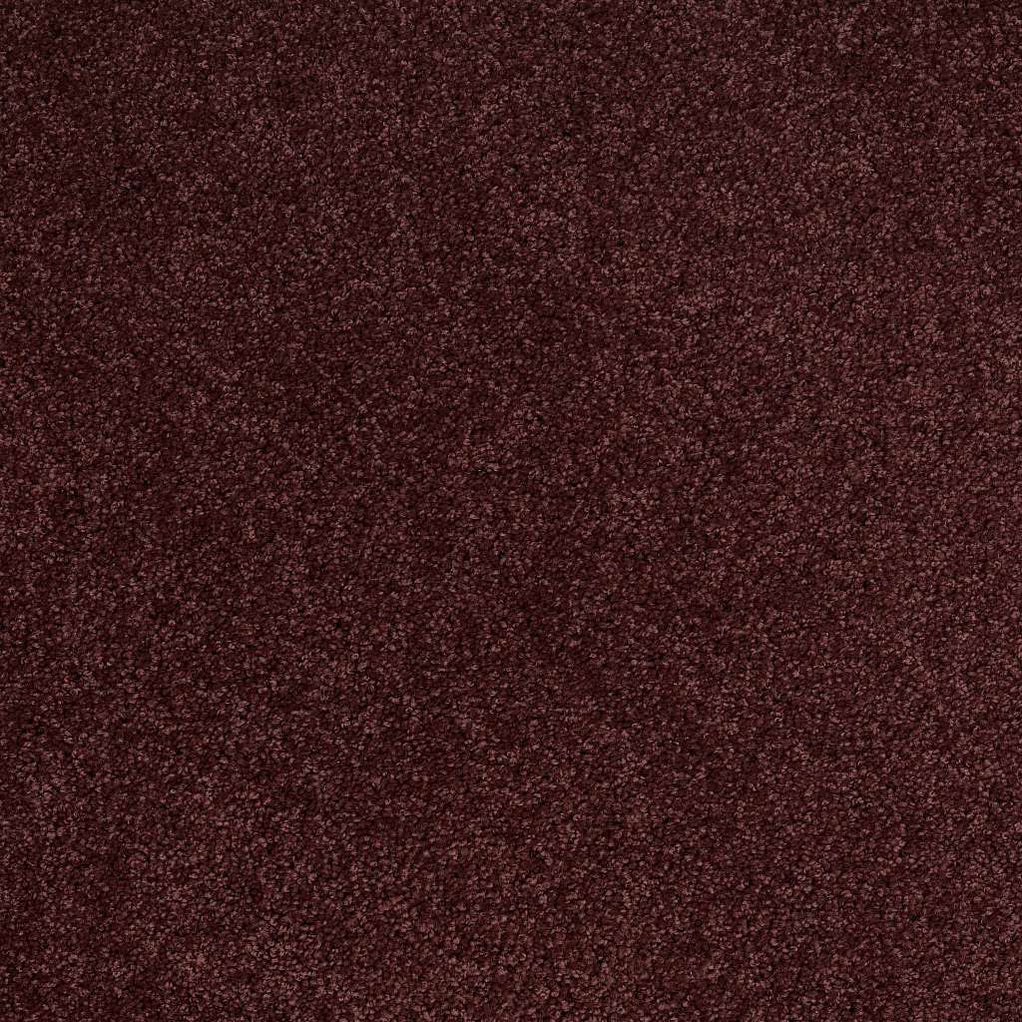 Shaw Origins 00810 Berry Textured Nylon Carpet | Lowest Price — Stone ...