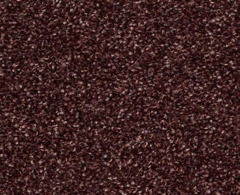 Shaw XV925 00810 Berry Textured Nylon Carpet | Lowest Price — Stone ...
