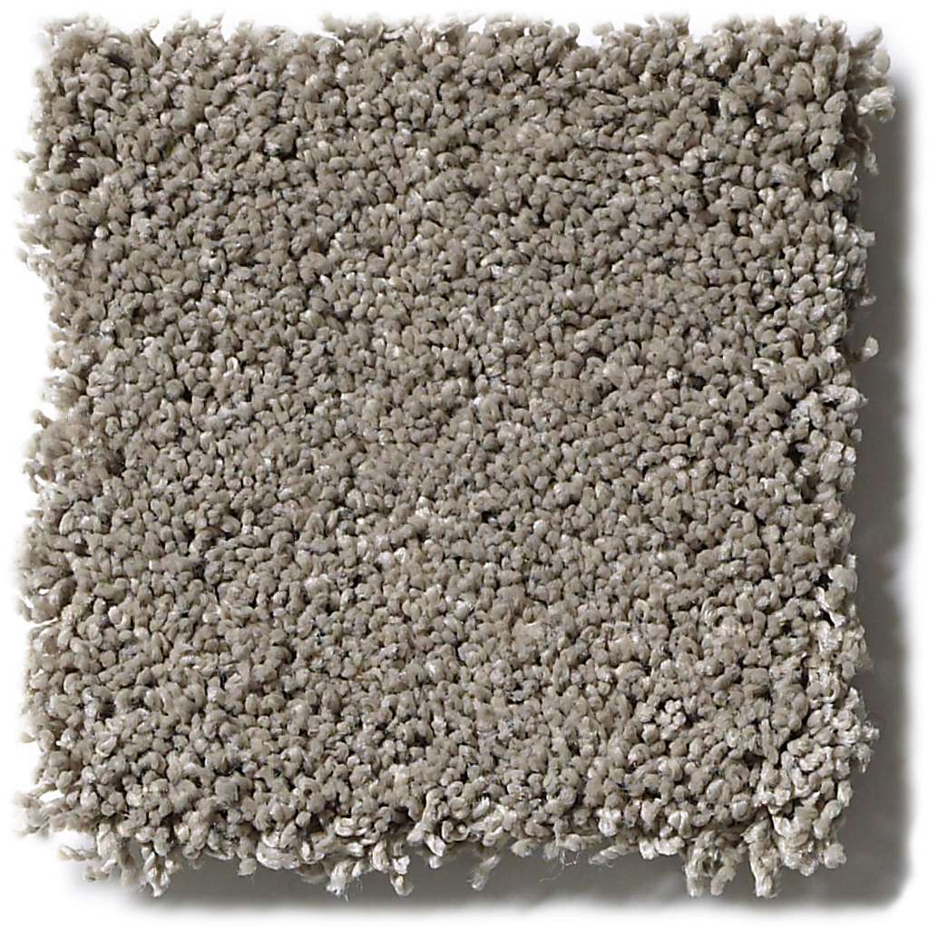 Shaw Caress By Shaw Quiet Comfort Classic I 00522 Birch Bark Carpet ...