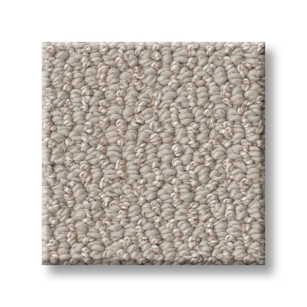 Shaw Simply The Best Embellished 00118 Birch Loop Polyester Carpet ...