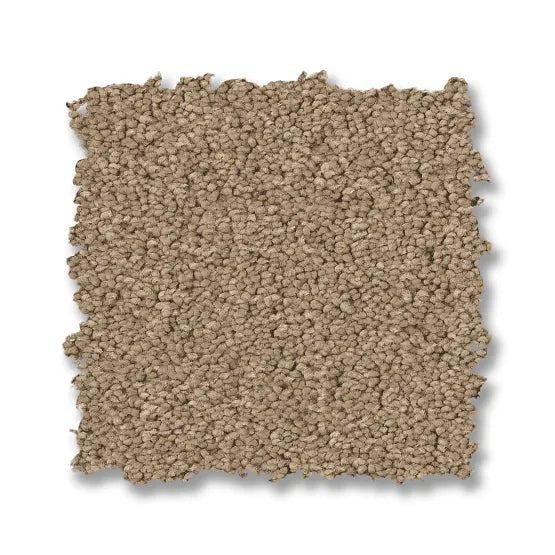 Anderson Tuftex Enchanting 00724 Biscotti Nylon Carpet — Stone & Tile ...