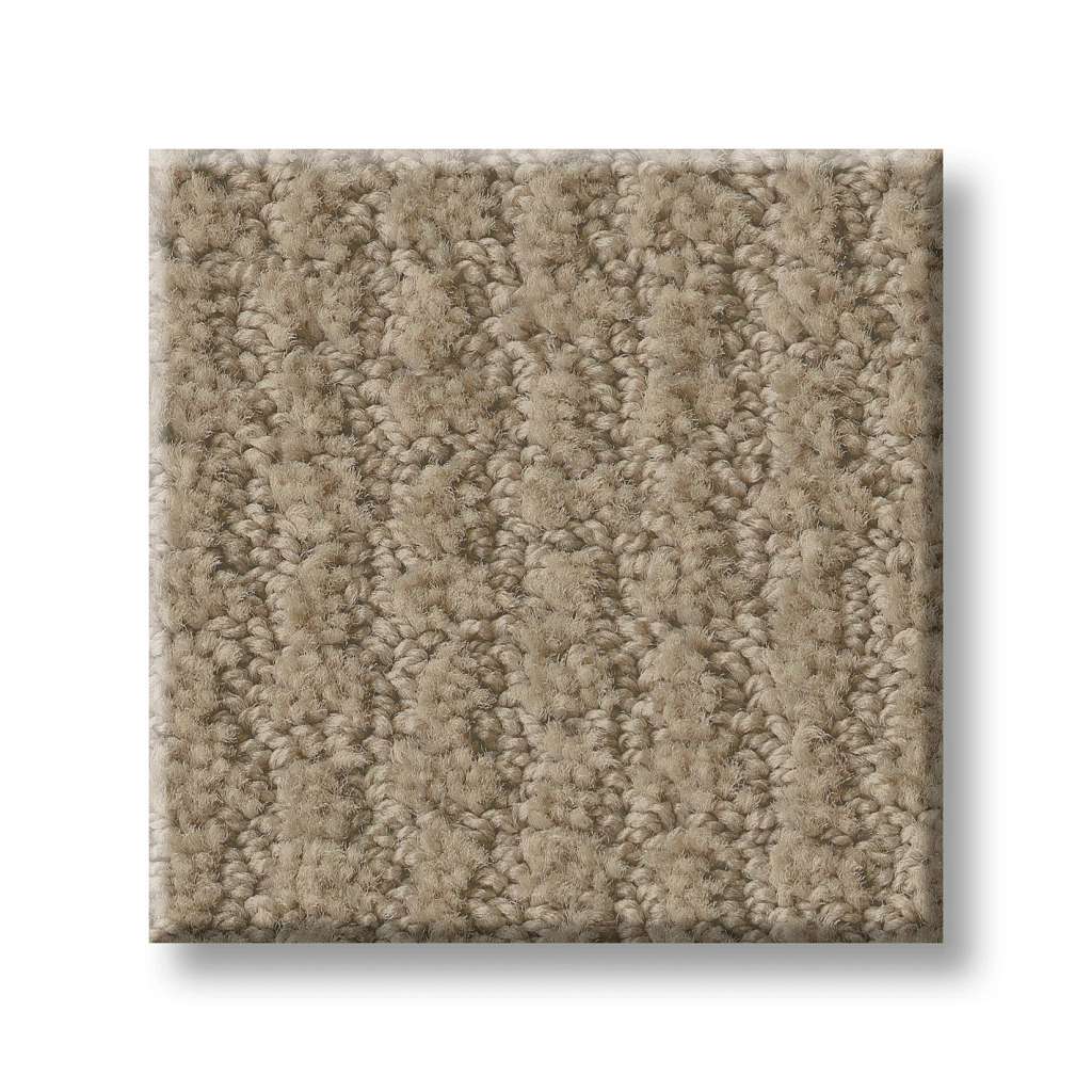 Shaw Foundations Complete Control 00783 Biscotti Pattern Nylon Carpet ...