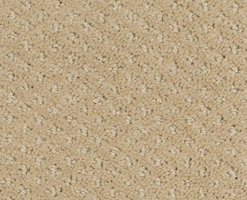 Shaw Brave Heart 00125 Biscuit Pattern Nylon Carpet | Lowest Price ...