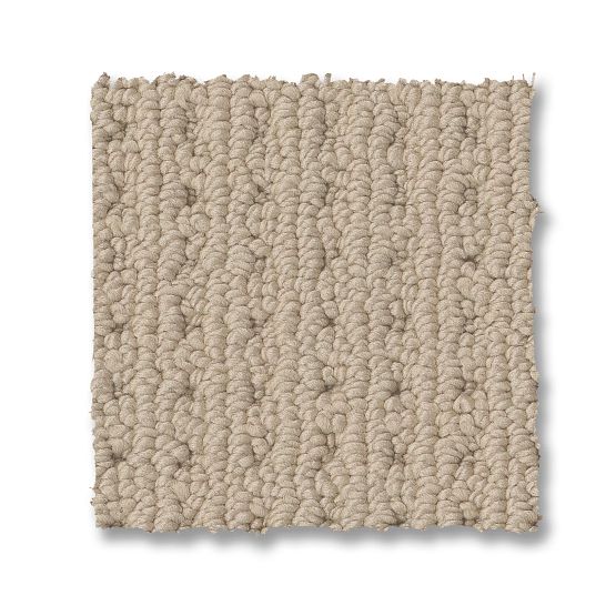 Anderson Tuftex San Lucas 00114 Biscuit Loop Nylon Carpet — Stone ...