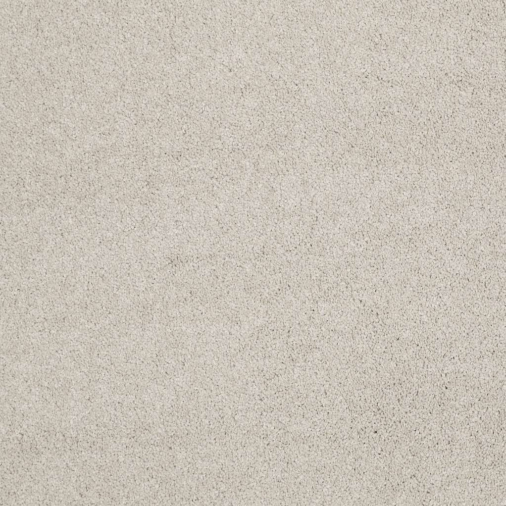 Shaw Caress By Shaw Quiet Comfort Classic I 00124 Bismuth Nylon Carpet ...