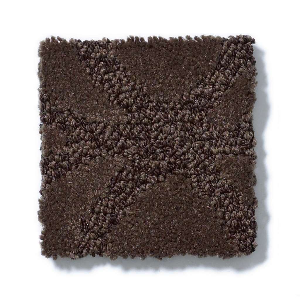 Shaw Caress By Shaw Appreciation 00707 Bison Pattern Nylon Carpet ...