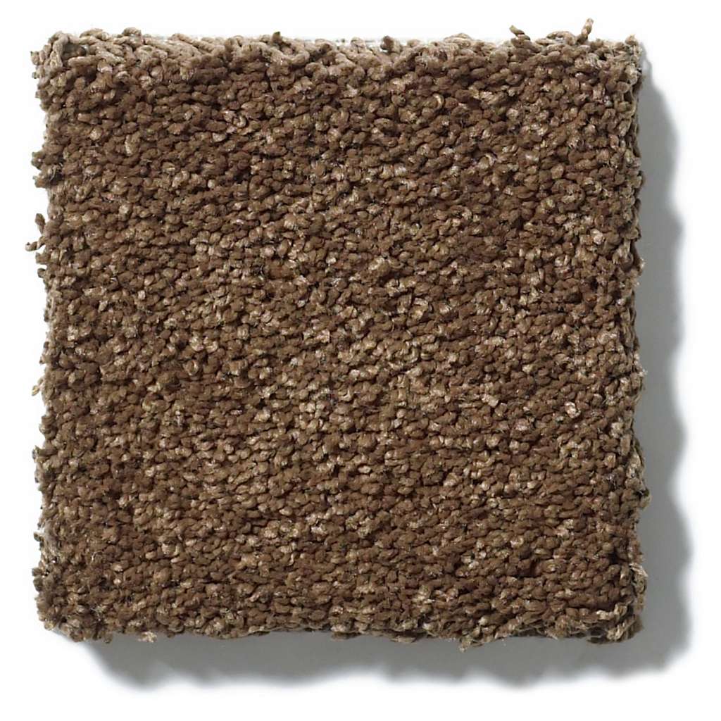 Shaw Caress By Shaw Quiet Comfort Classic I 00707 Bison Nylon Carpet ...