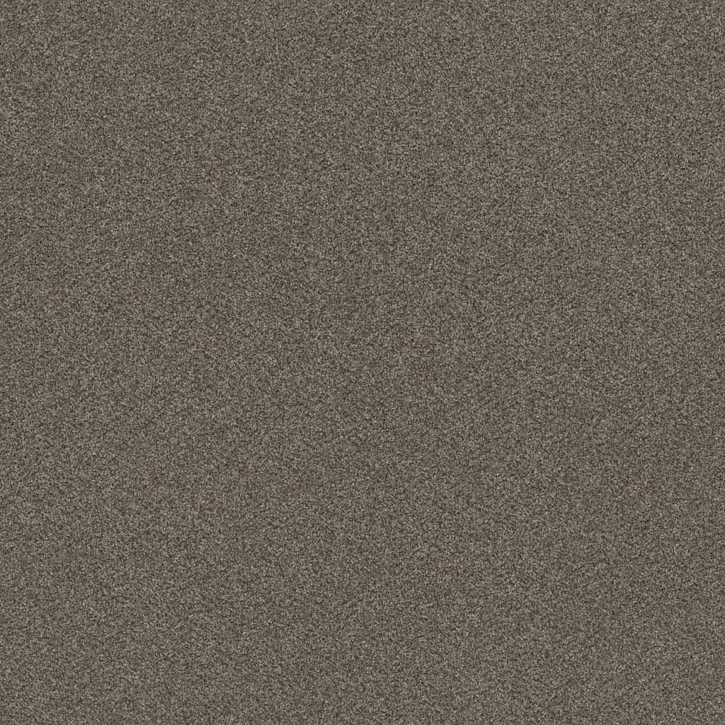 Shaw Simply The Best Without Limits III 00702 Boardwalk Carpet — Stone ...