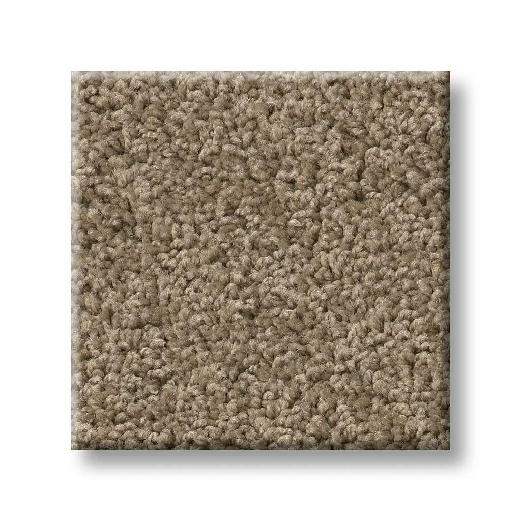 Shaw Origins II 00764 Briar Textured Nylon Carpet | Lowest Price ...