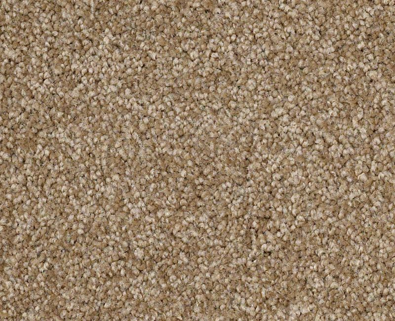 Shaw Anso Open I (S) 00709 Bridgewater Tan Textured Nylon Carpet ...