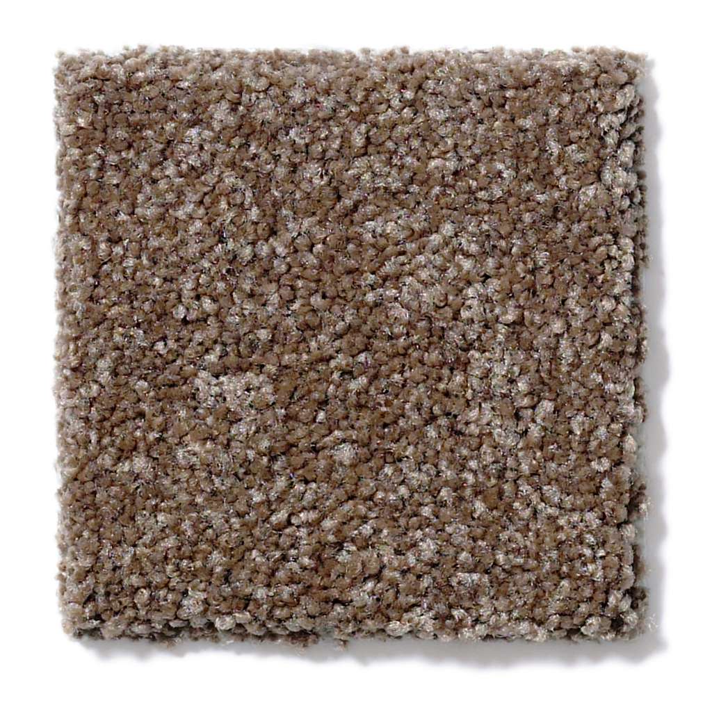 Shaw Something Sweet 00702 Brushed Suede Textured Nylon Carpet — Stone ...