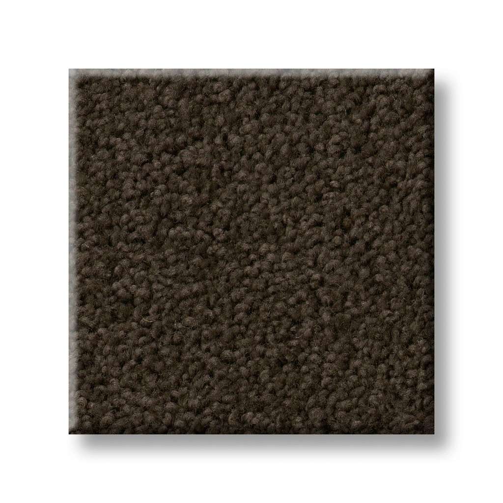Shaw Origins II 00769 Buckeye Textured Nylon Carpet | Lowest Price ...