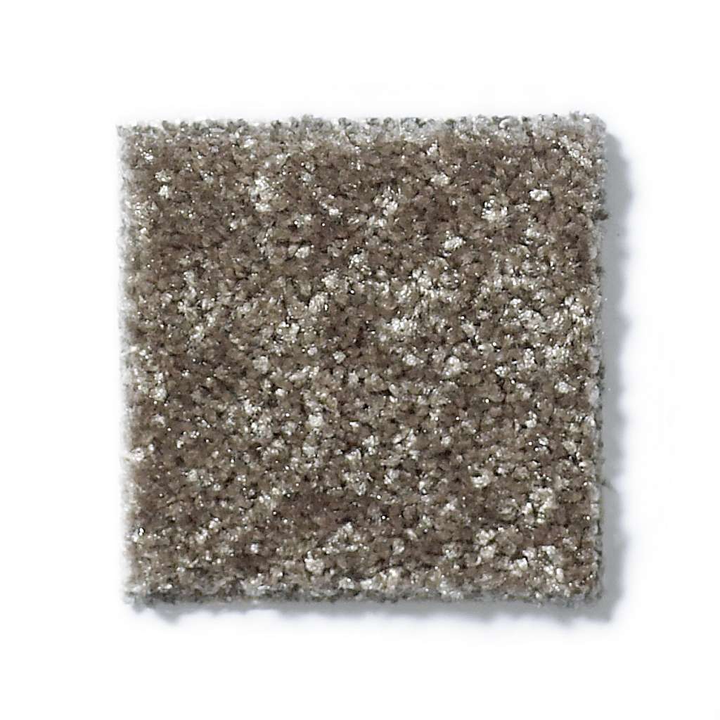 Shaw Victory 00742 Bunkhouse Textured Nylon Carpet | Lowest Price ...