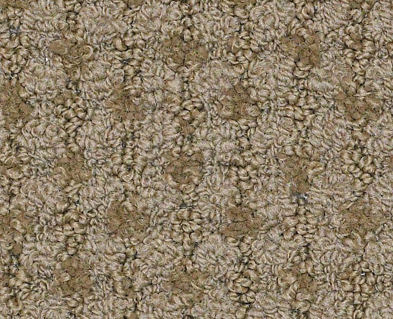Shaw Hettinger 11704 Bus Stop Pattern Nylon Carpet | Lowest Price ...