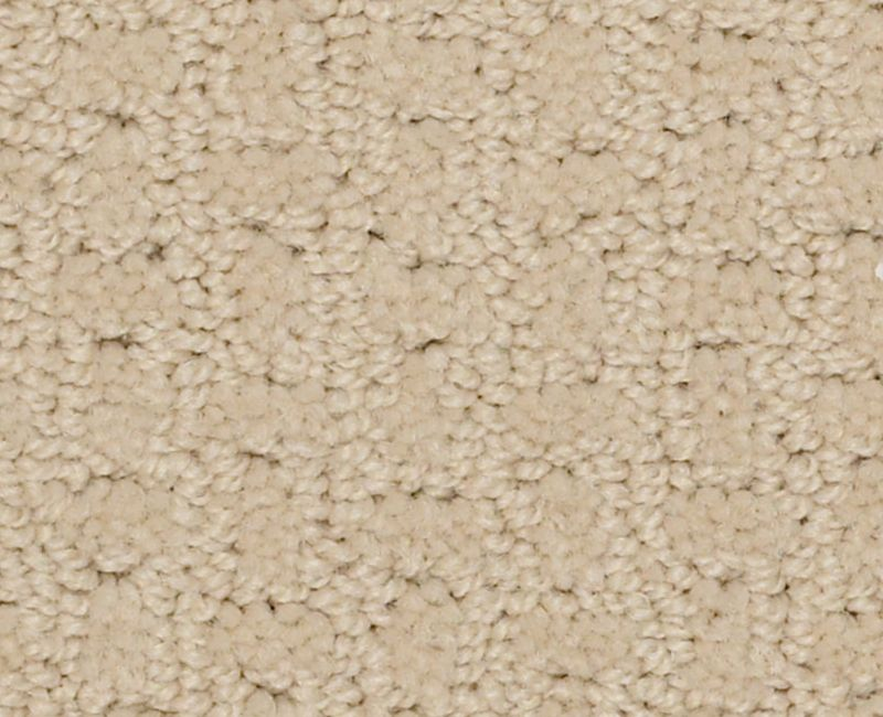 Shaw Bold Attitude 00121 Cake Batter Pattern Nylon Carpet — Stone ...