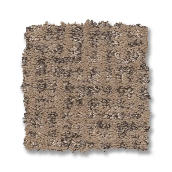 Anderson Tuftex Reawaken Caboodle 00673 Camelback Polyester Carpet ...