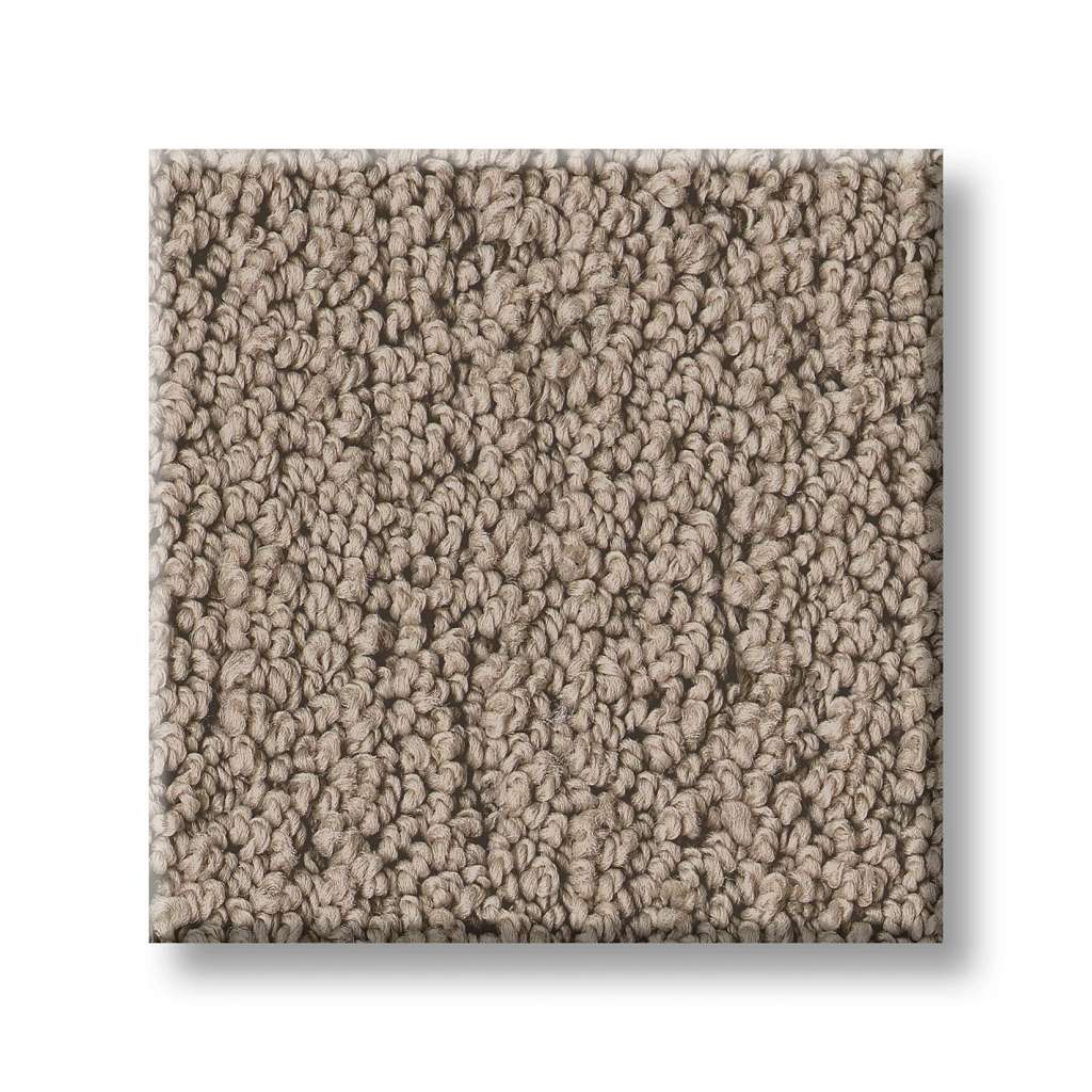 Shaw Pet Perfect Intricate Trace 00113 Cameo Pattern Polyester Carpet ...