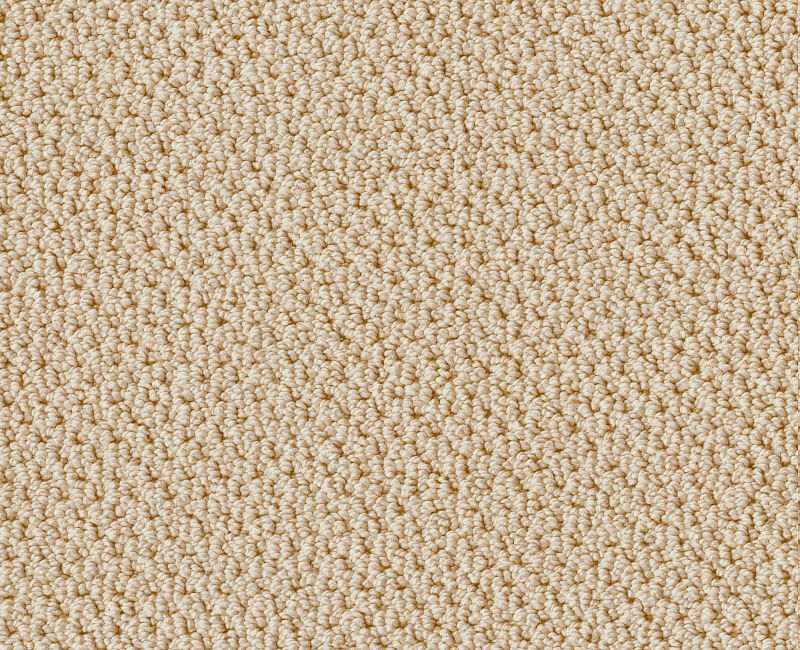 Shaw Lasting Loop 00101 Candlewick Glow Loop Nylon Carpet — Stone ...