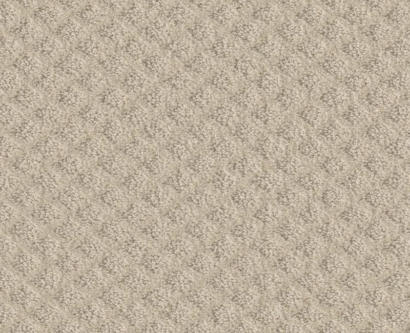Shaw Placer 00103 Canvas Pattern Nylon Carpet | Lowest Price — Stone ...