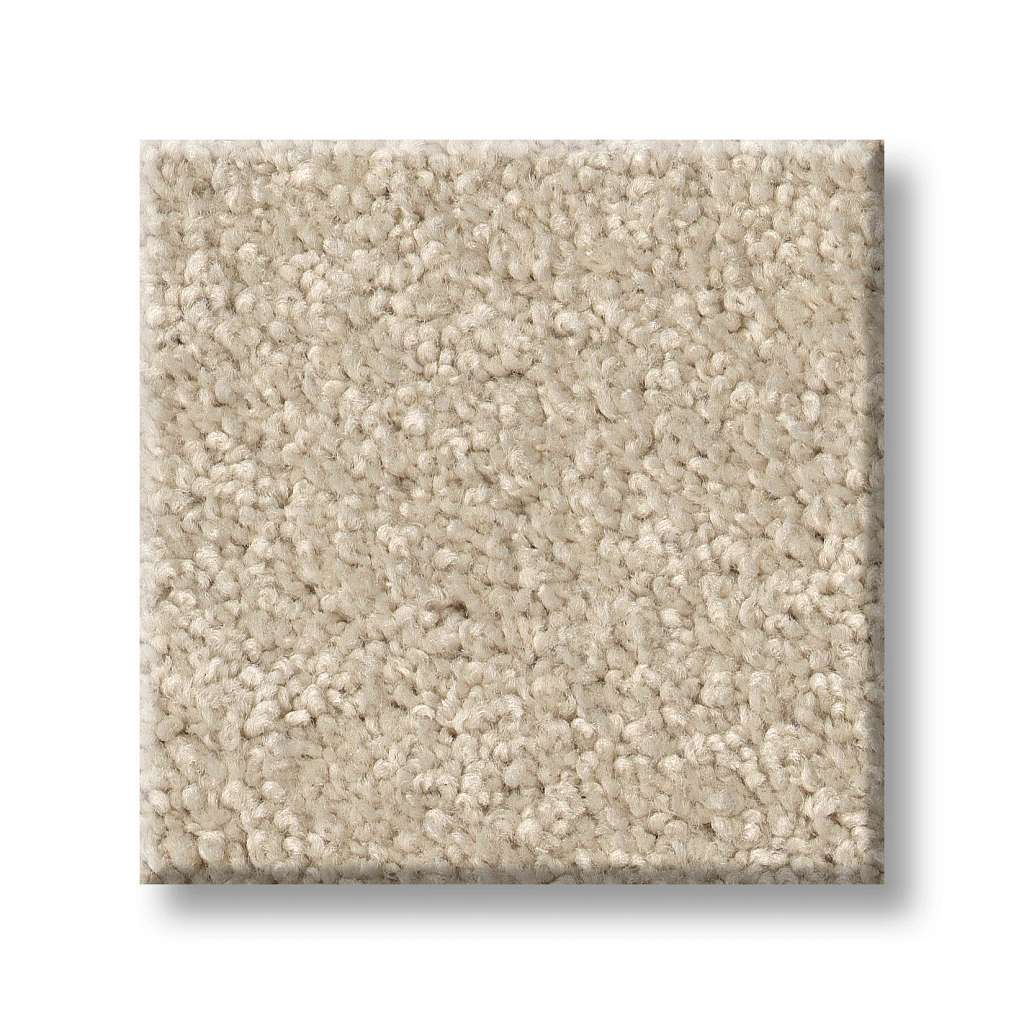 Shaw Origins II 00103 Canvas Textured Nylon Carpet | Lowest Price ...
