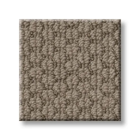Anderson Tuftex Cathedral Grove 00753 Canyon Clay Nylon Carpet — Stone ...