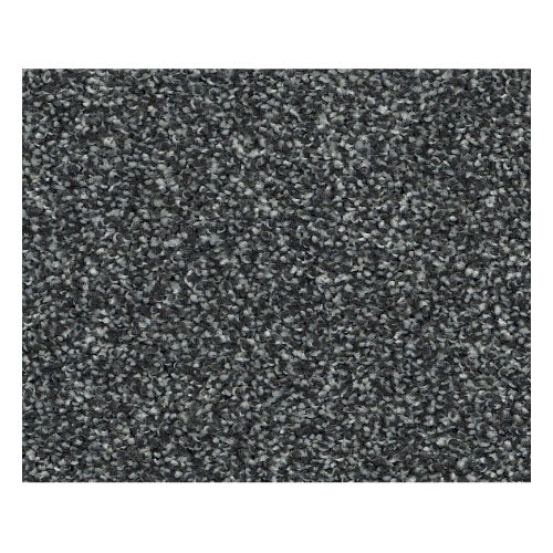 Shaw Striking 00413 Cape Verde Textured Nylon Carpet | Lowest Price ...