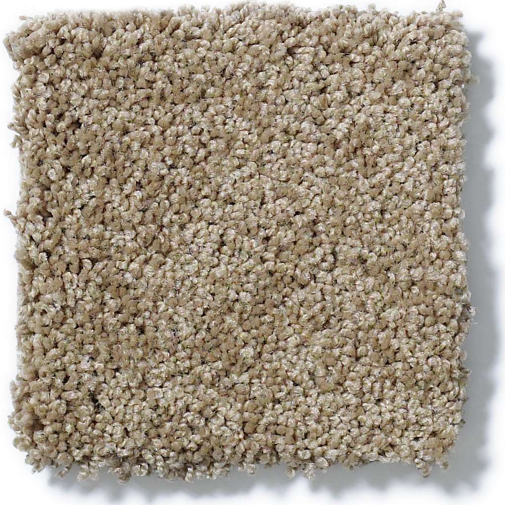 Shaw Soft Shades My Choice II 00756 Cappuccino Textured Nylon Carpet ...