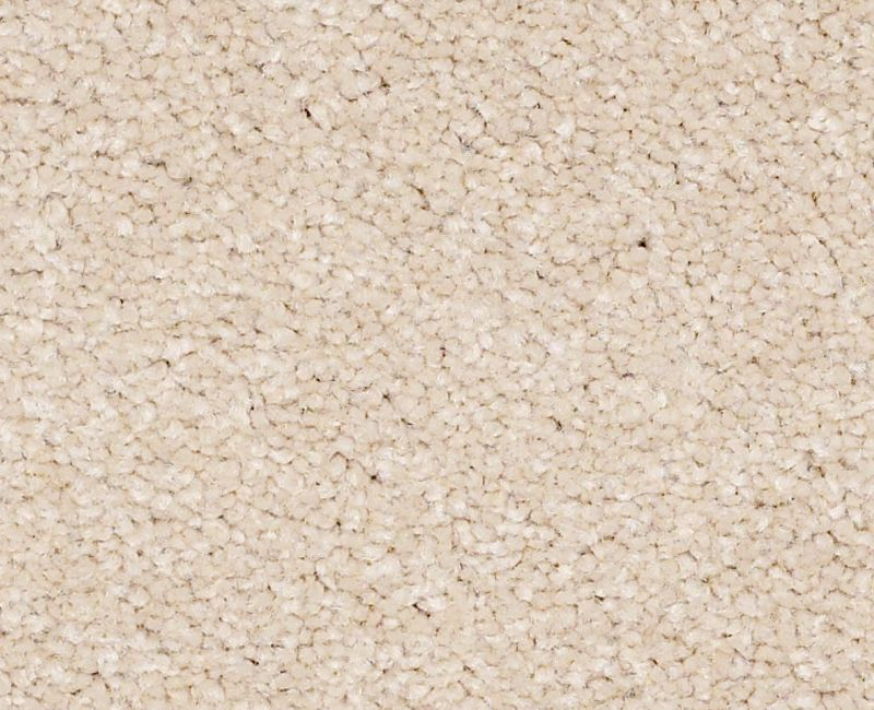 Shaw Bright Spirit II 15' 00106 Cashew Textured Nylon Carpet — Stone ...