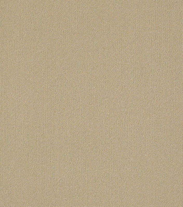 Philadelphia Commercial Color Accents 62706 Cashmere Nylon Carpet Tile ...
