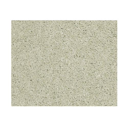 Shaw Castle PV III 00322 Celadon Textured Nylon Carpet | Lowest Price ...