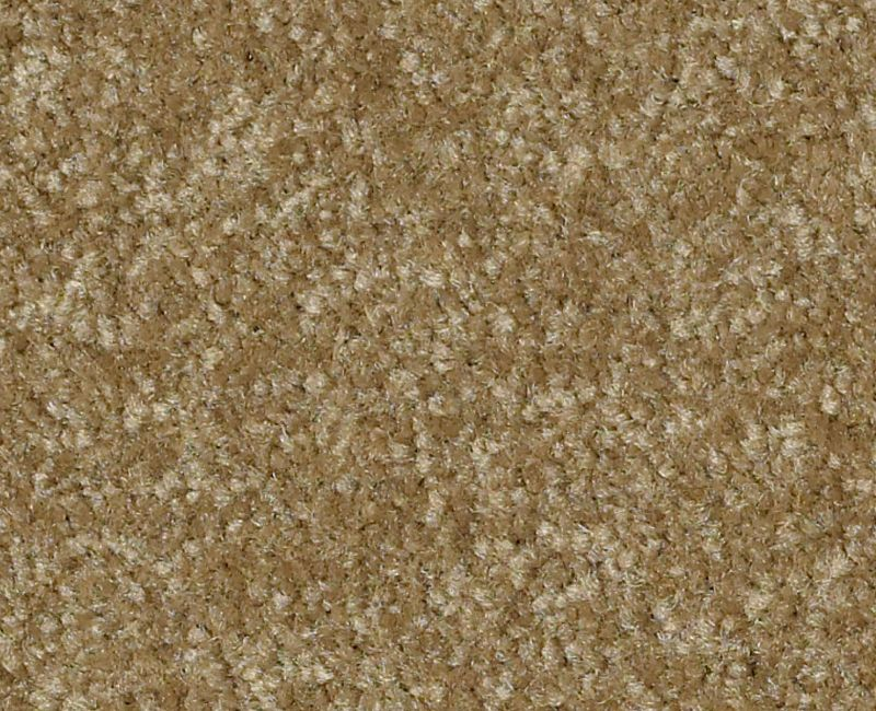 Shaw Gold Cut Pile 15' 00300 Celery Textured Nylon Carpet — Stone ...