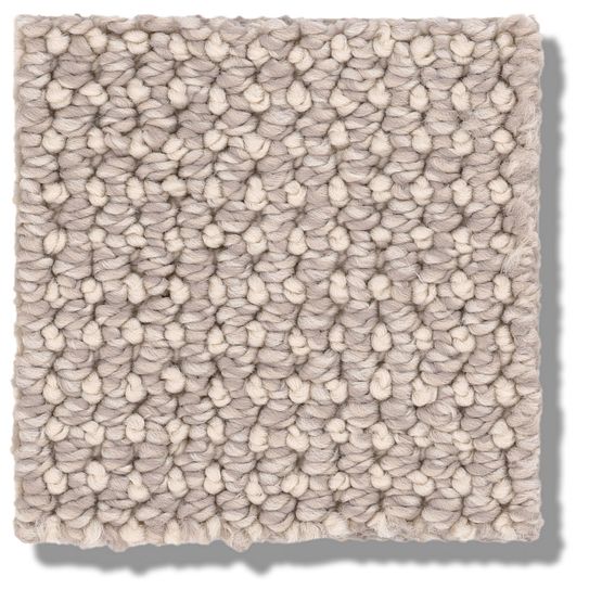 Anderson Tuftex Pet Perfect Purrfection 00114 Champagne Nylon Carpet ...