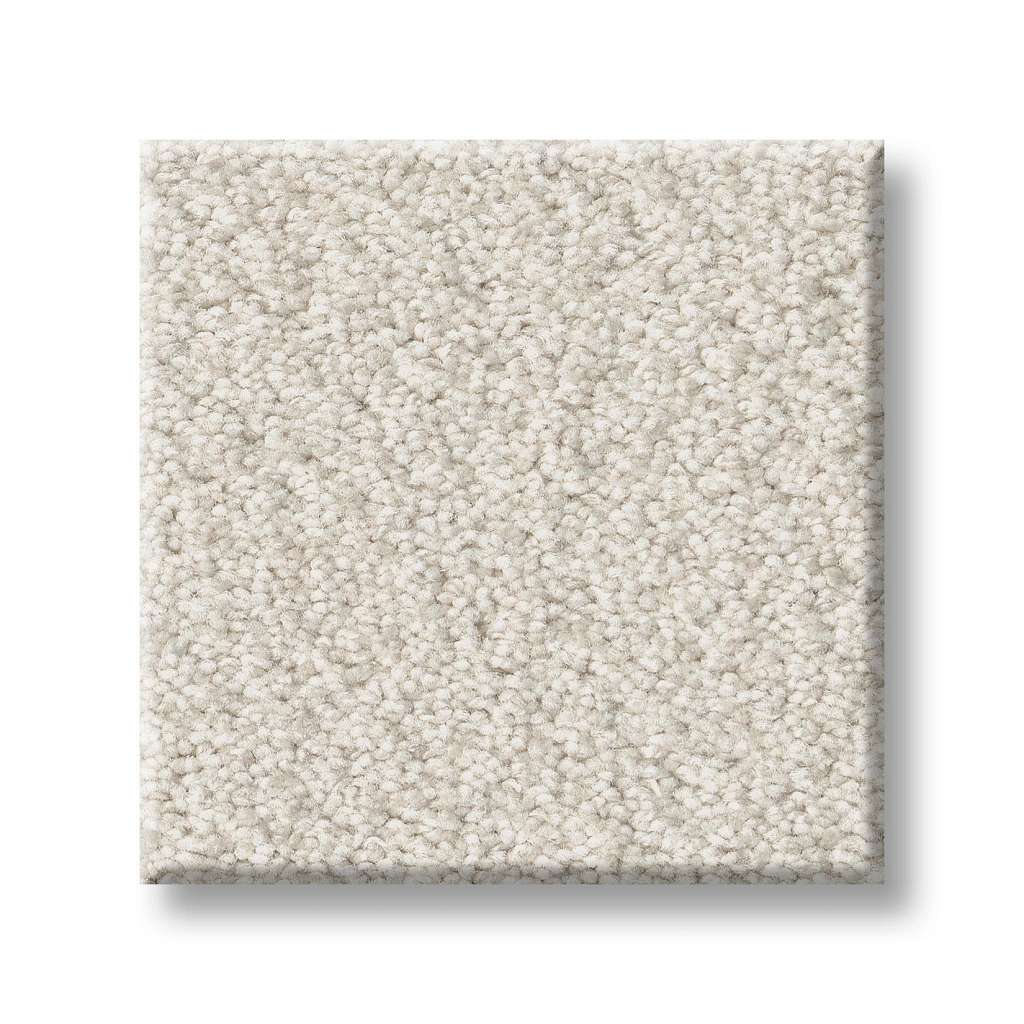 Shaw Foundations Fine Tapestry 00153 Champagne Toast Nylon Carpet ...