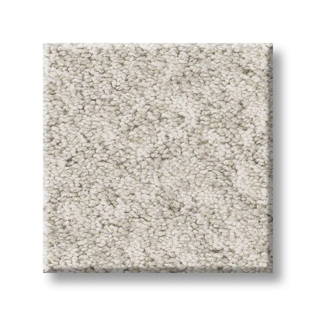 Shaw Foundations Alluring Canvas 00153 Champagne Toast Nylon Carpet ...