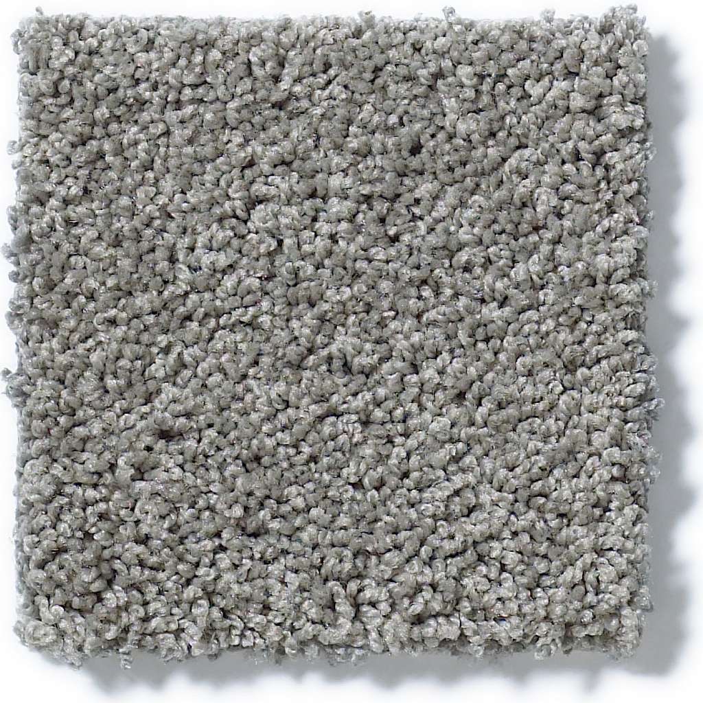 Shaw Soft Shades My Choice II 00551 Charcoal Textured Nylon Carpet ...